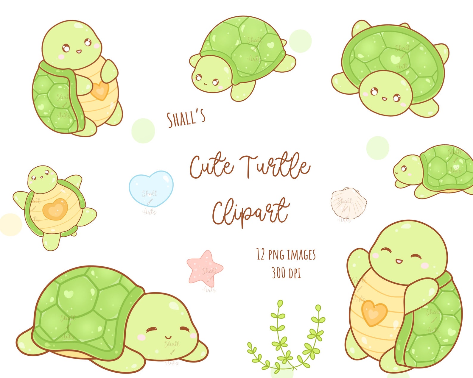 Cute Turtle Clipart Kawaii Turtle PNG Cute Turtles Clipart - Etsy