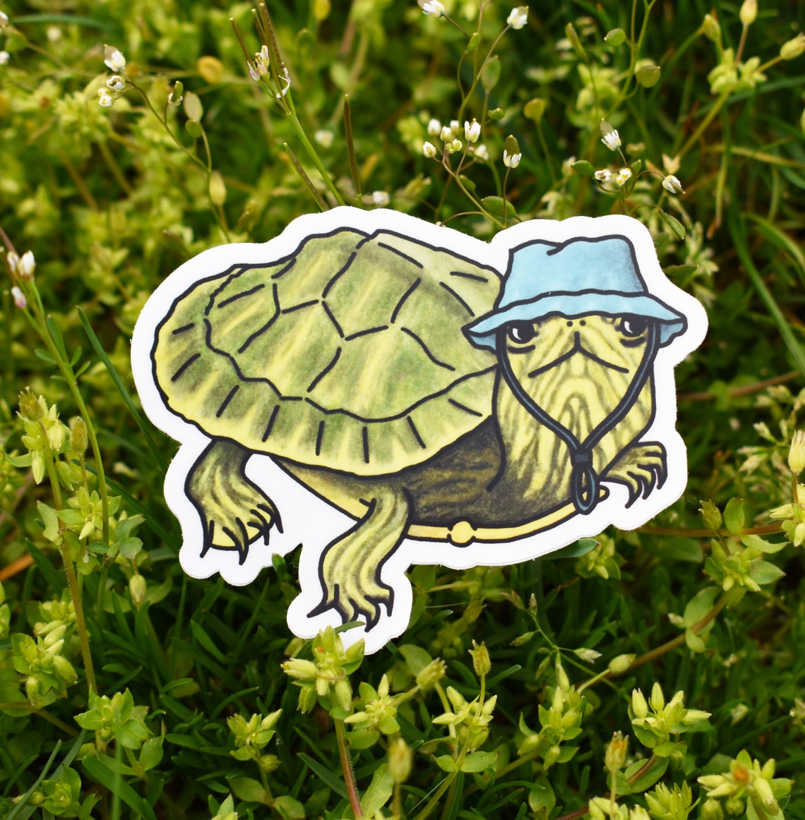 Sheldon the Turtle Sticker - Etsy