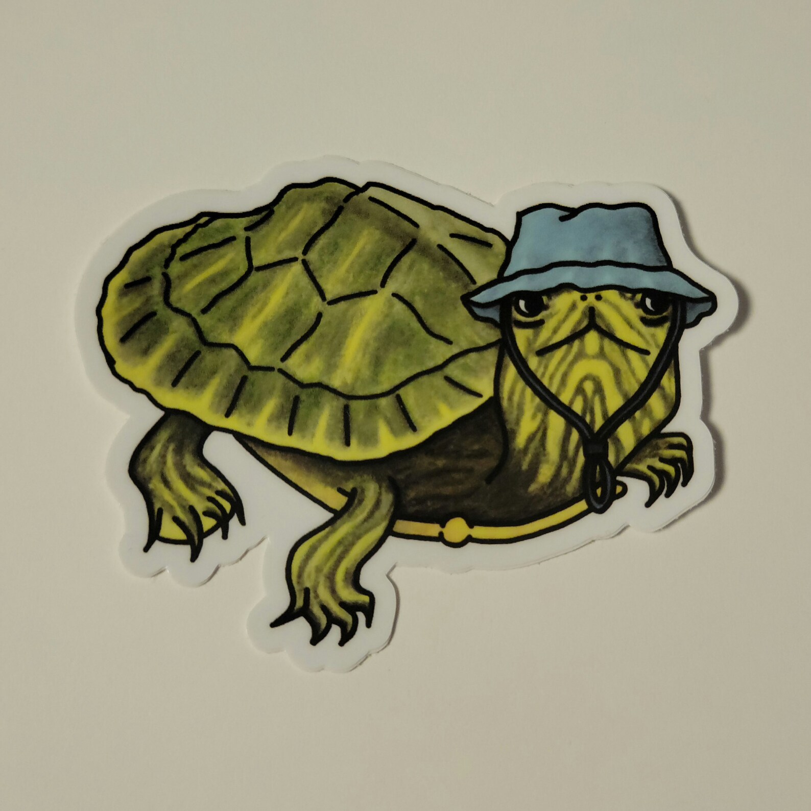Sheldon the Turtle Sticker - Etsy