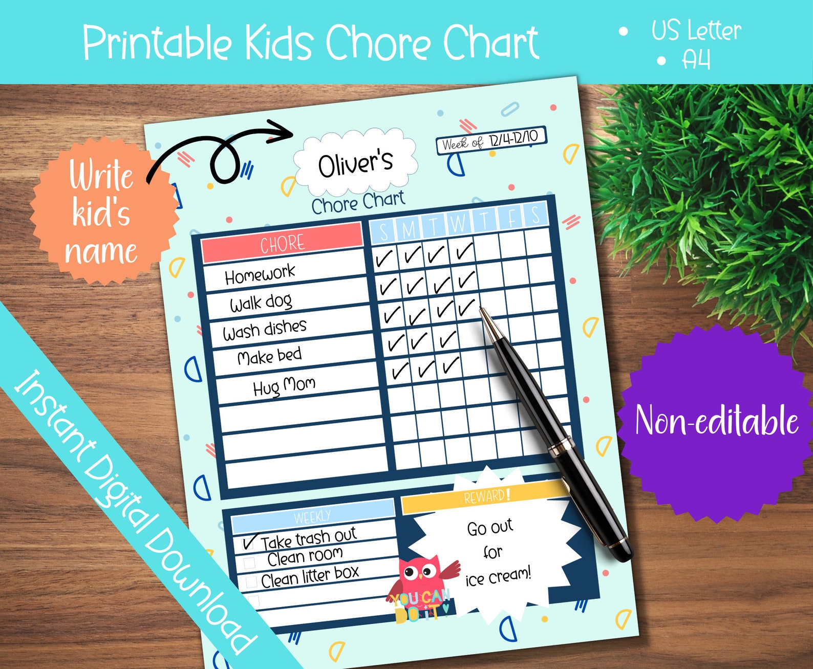 Printable Kids Chore Chart, Responsibility Chart, Non-editable, A4 and ...