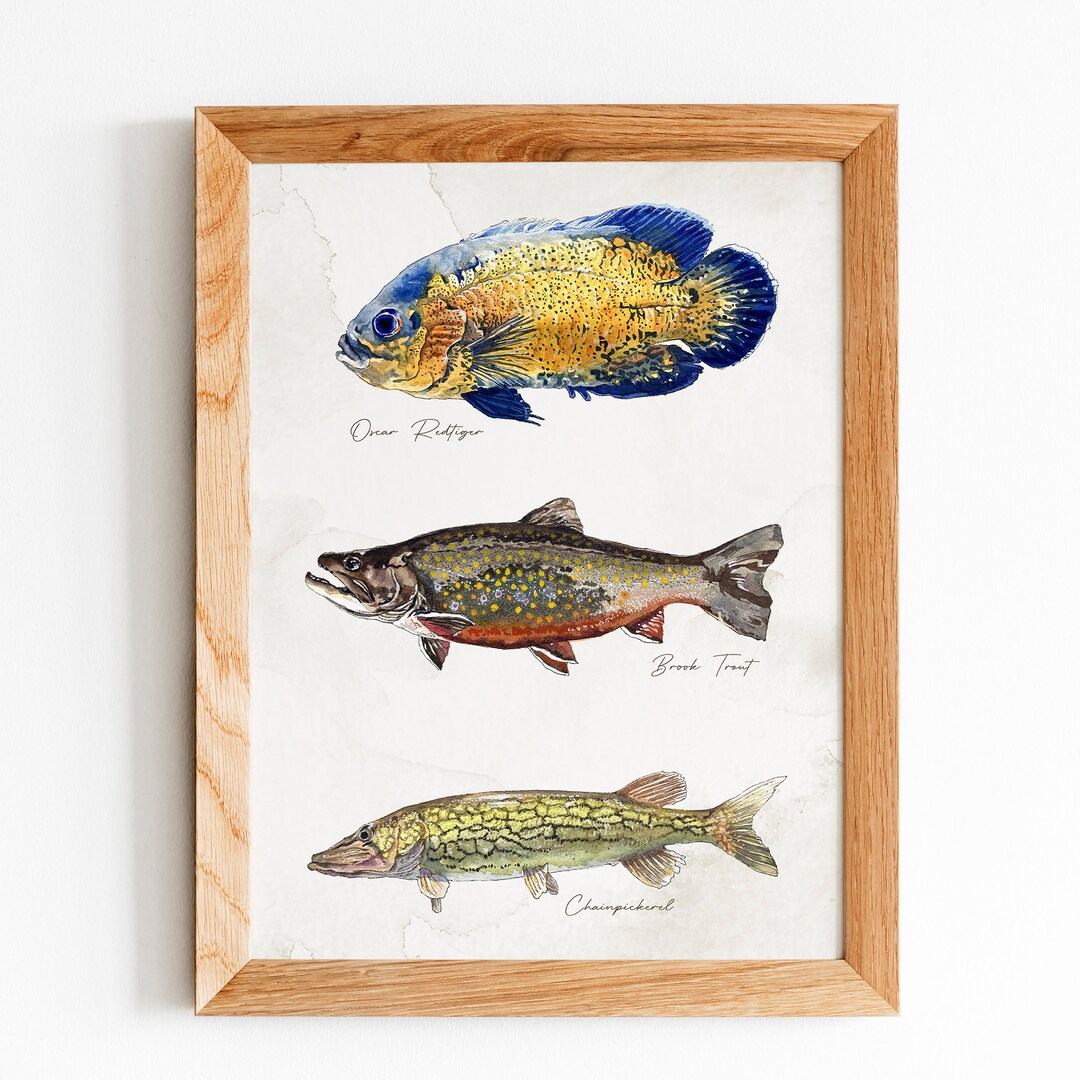 PRINTABLE Fish Watercolor Print, River Fish, Vintage Fish Poster, Fish ...