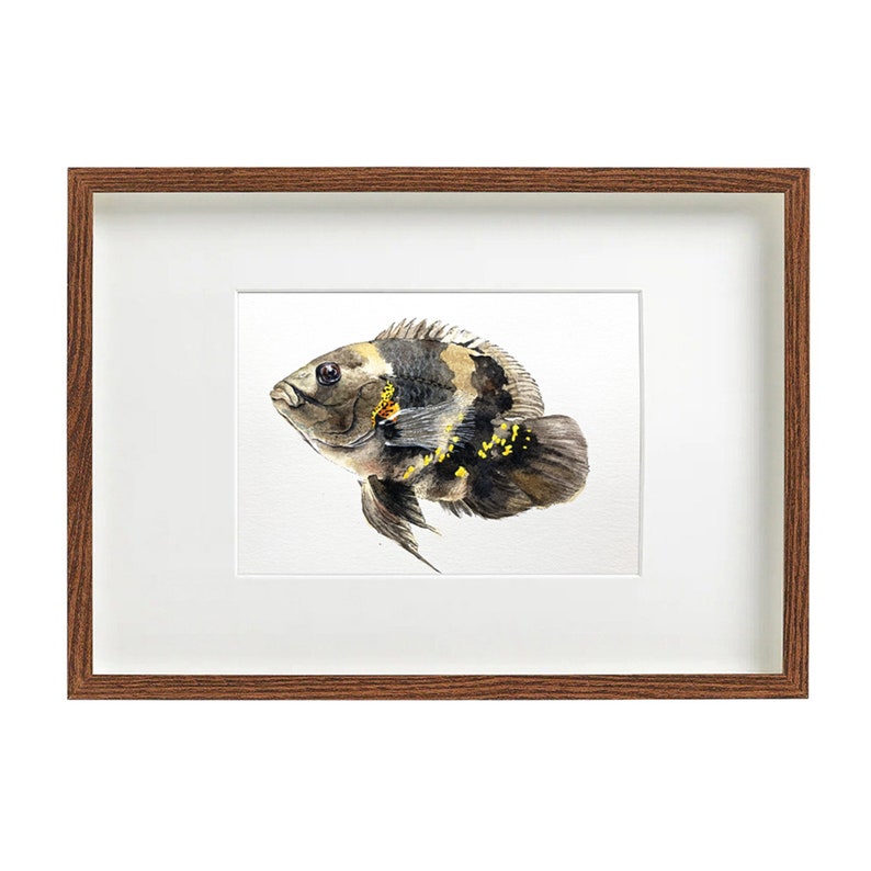 PRINTABLE Fish Watercolor Print River Fish Vintage Poster - Etsy