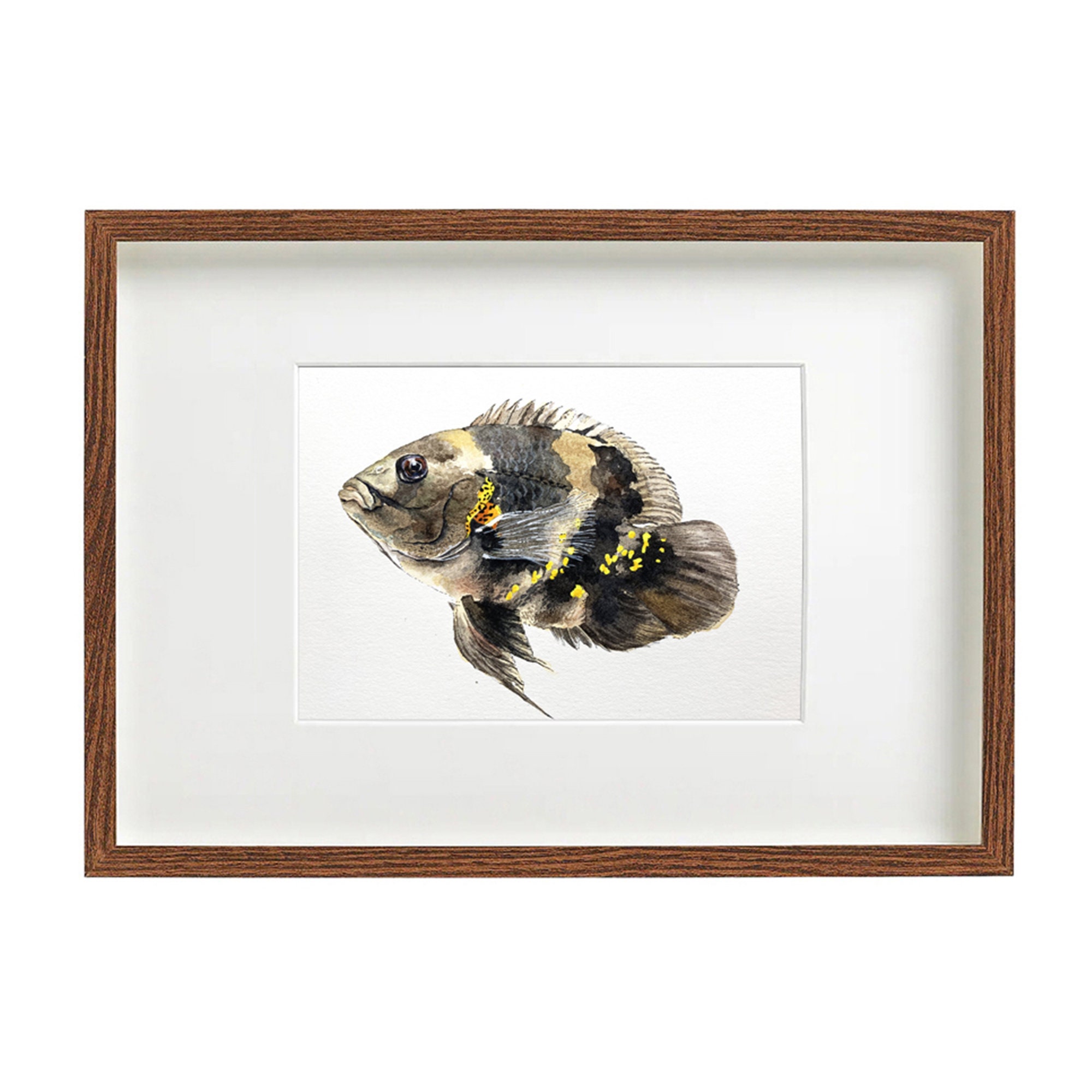 PRINTABLE Fish Watercolor Print, River Fish, Vintage Poster, Fish ...