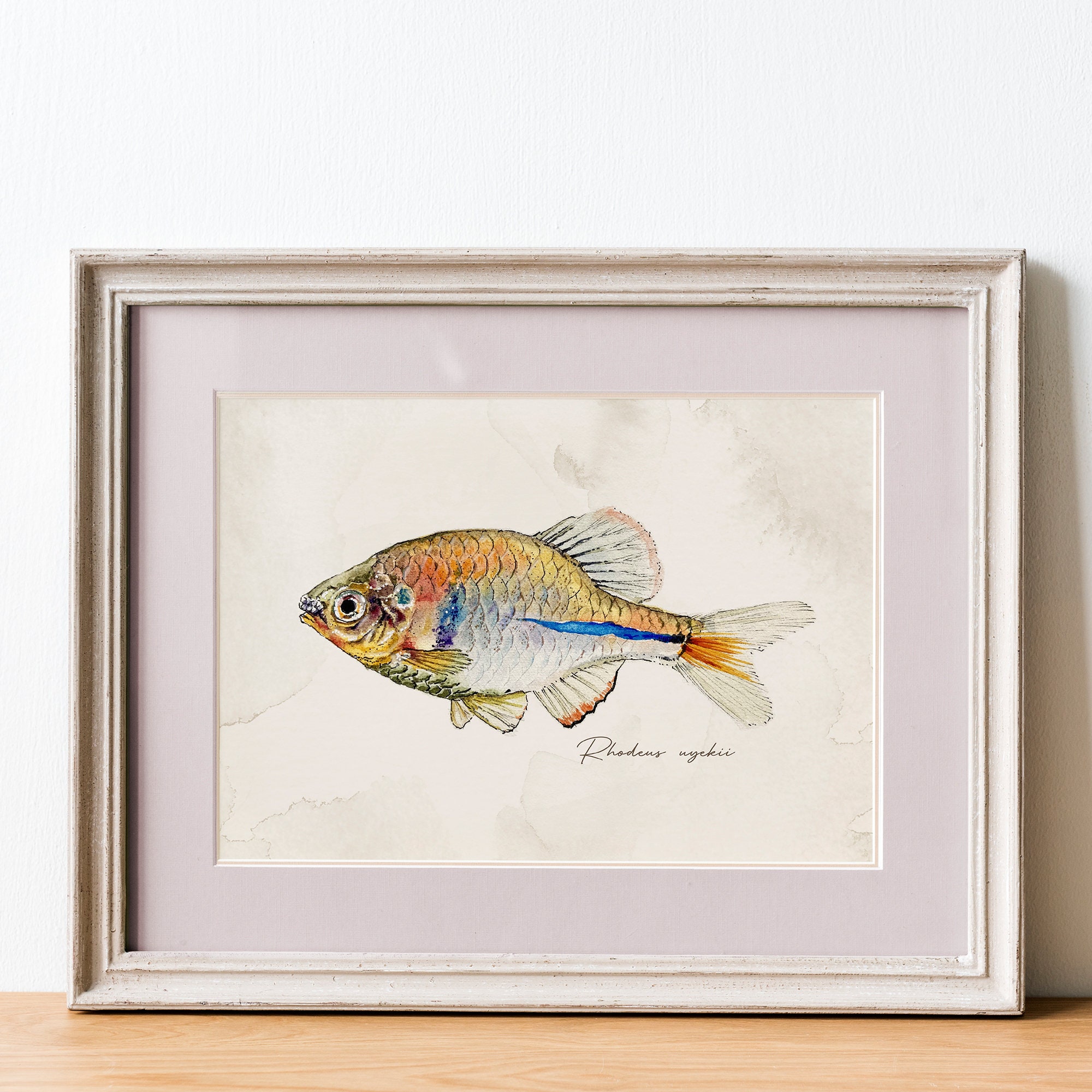 PRINTABLE Fish Watercolor Prints, Fishing, River Fish, Vintage Poster ...