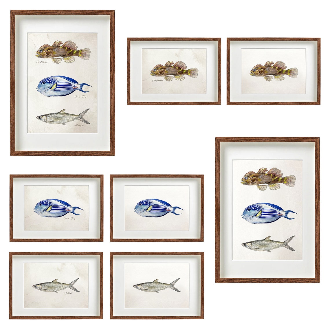 PRINTABLE Fish Watercolor Print, Ocean Fish, Vintage Poster, Fish ...