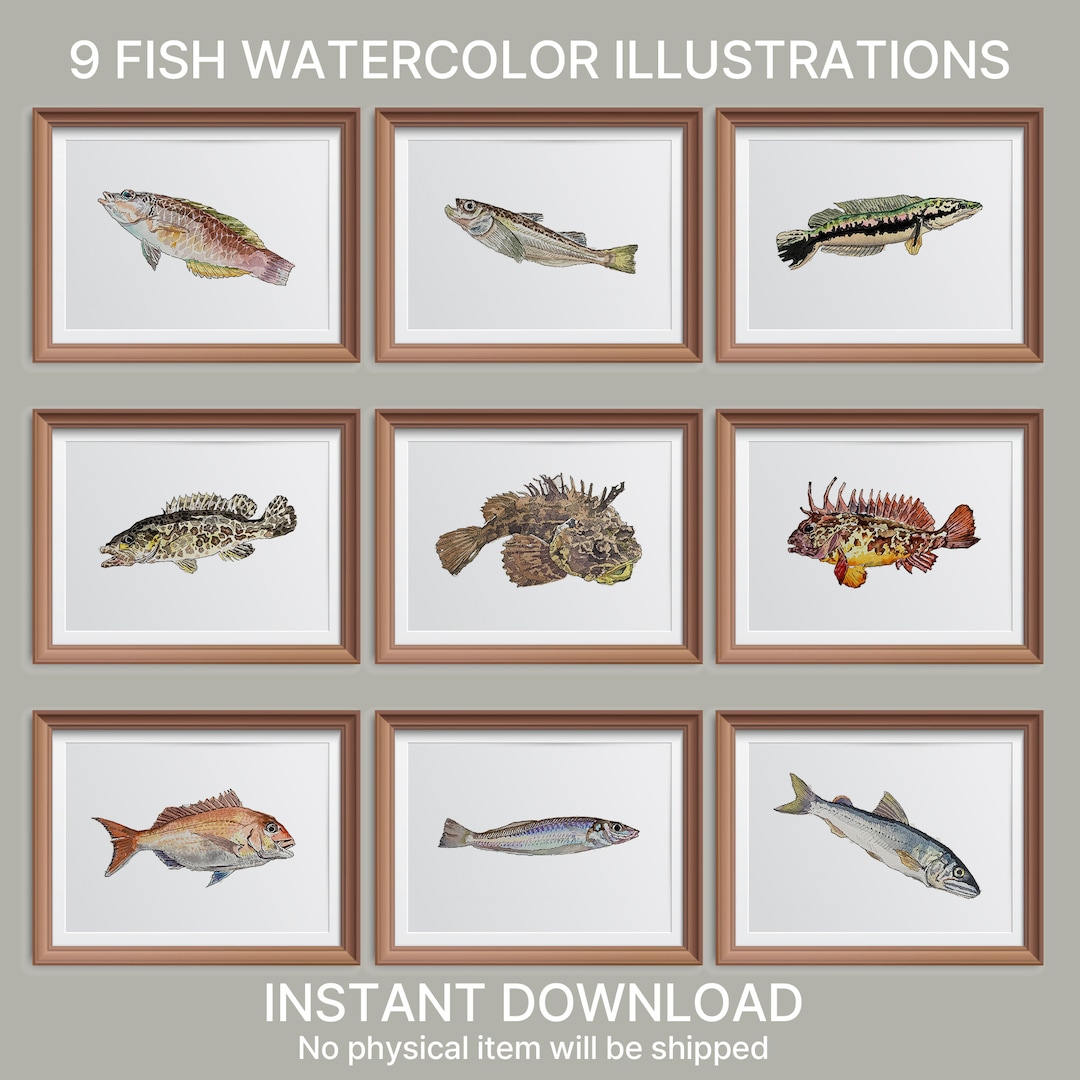 PRINTABLE Fish Watercolor Print Set of 9, Fish Painting, Small Picture ...