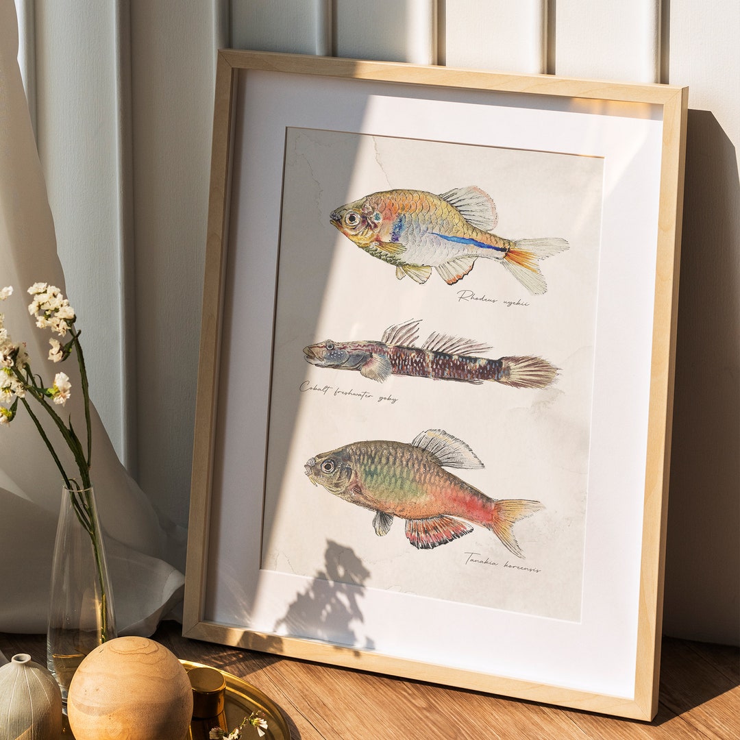 PRINTABLE Fish Watercolor Print, River Fish, Vintage Poster, Fish ...