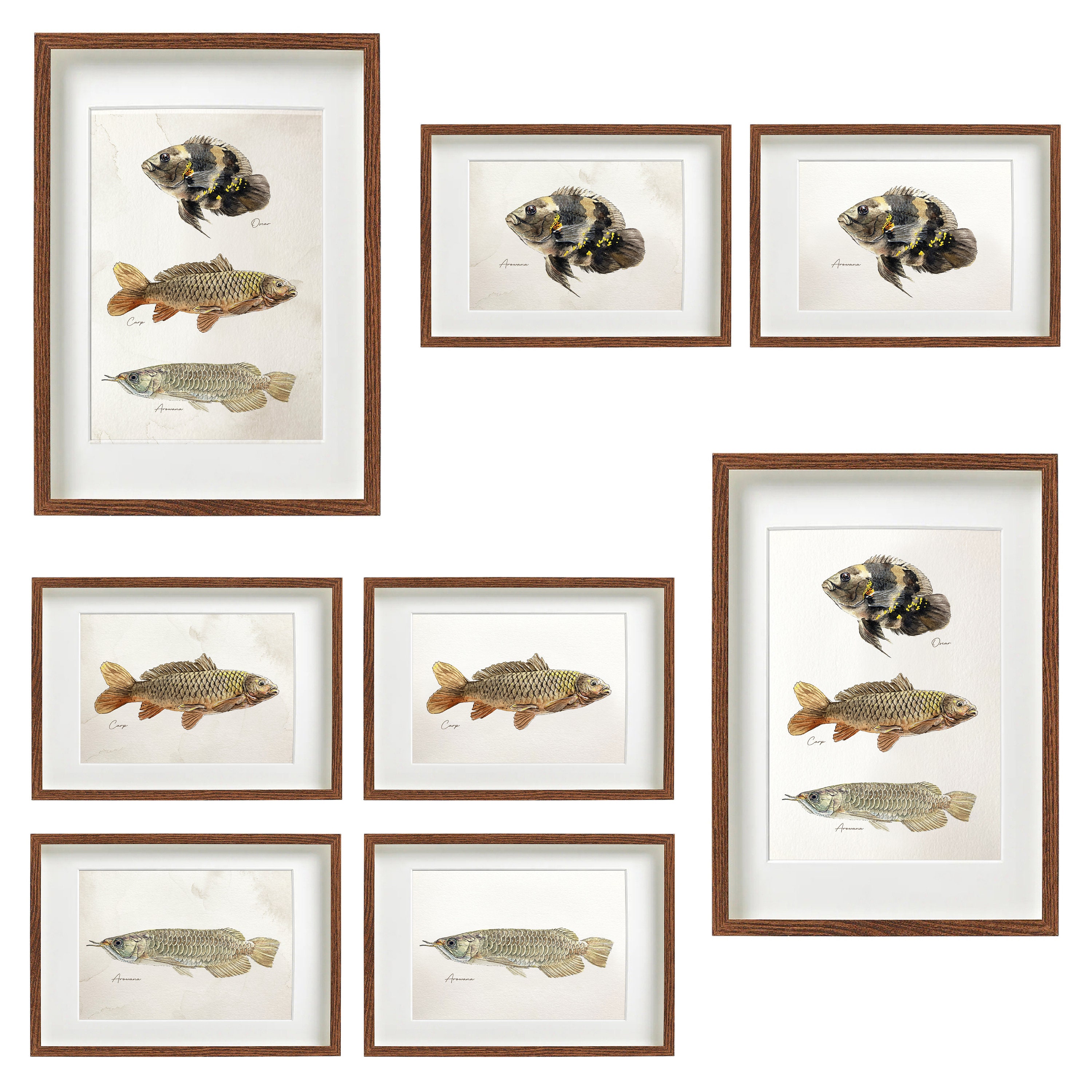PRINTABLE Fish Watercolor Print, River Fish, Vintage Poster, Fish ...