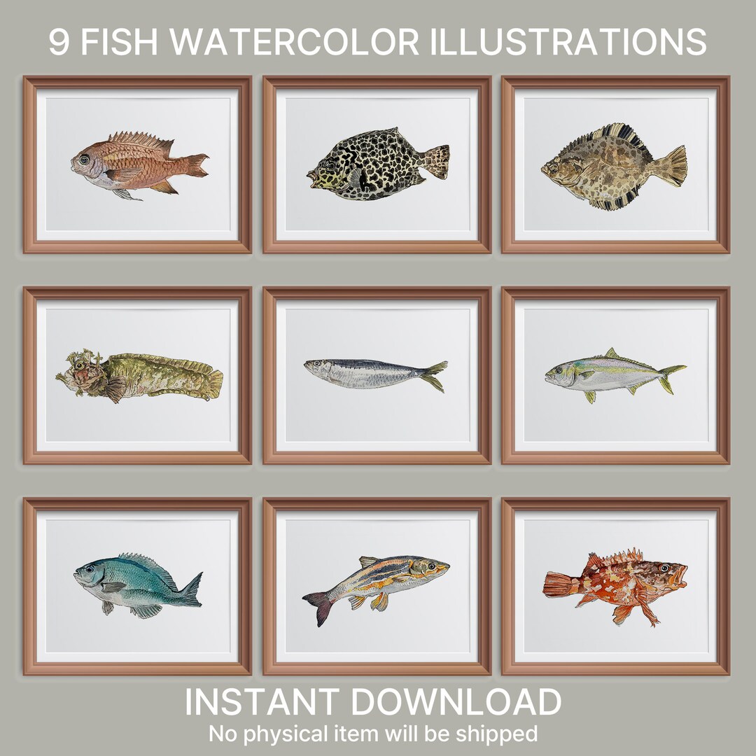 PRINTABLE Fish Watercolor Print Set of 9, Fish Painting, Small Picture ...