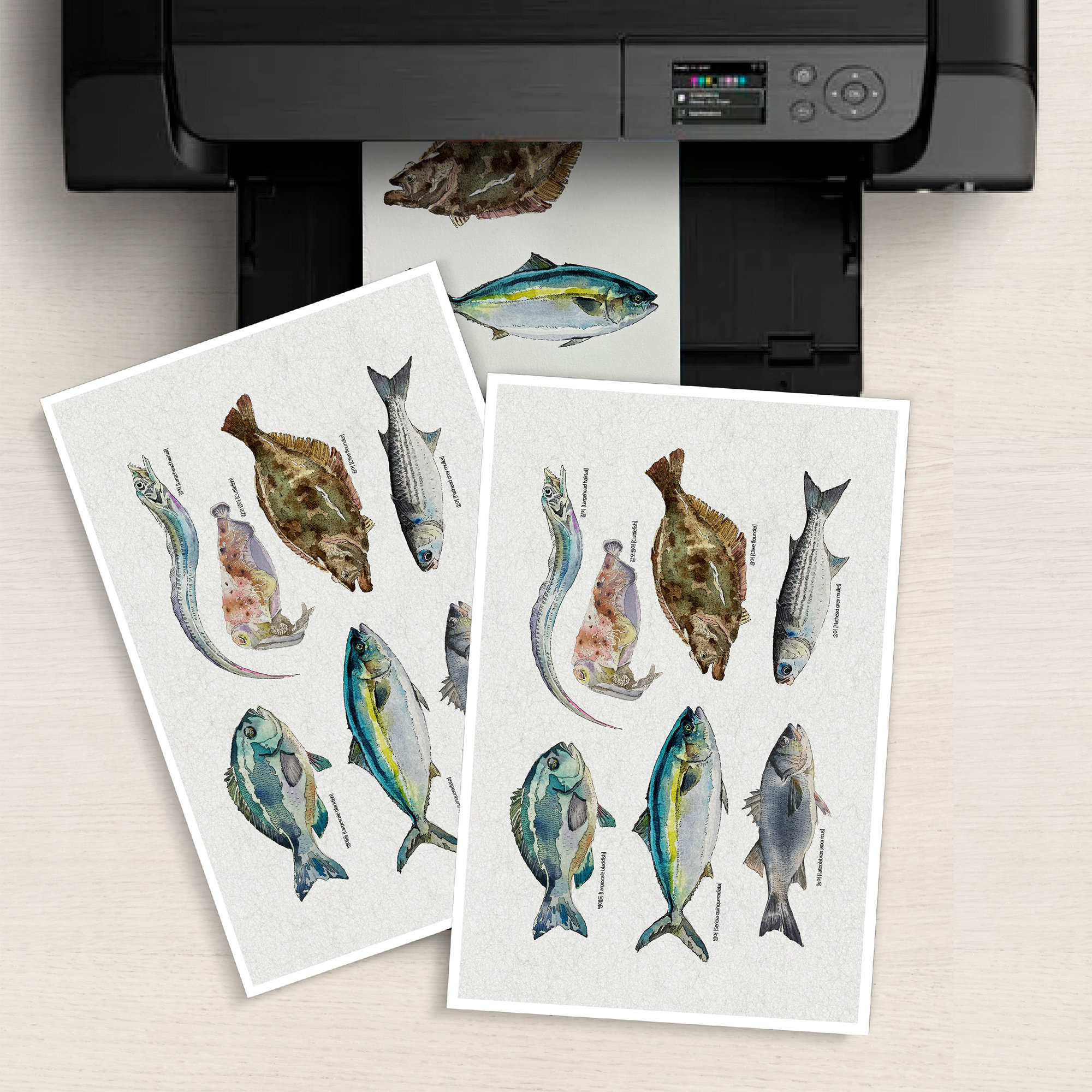 PRINTABLE Fish Watercolor Print, Fish Poster, Fish Painting, Fish ...