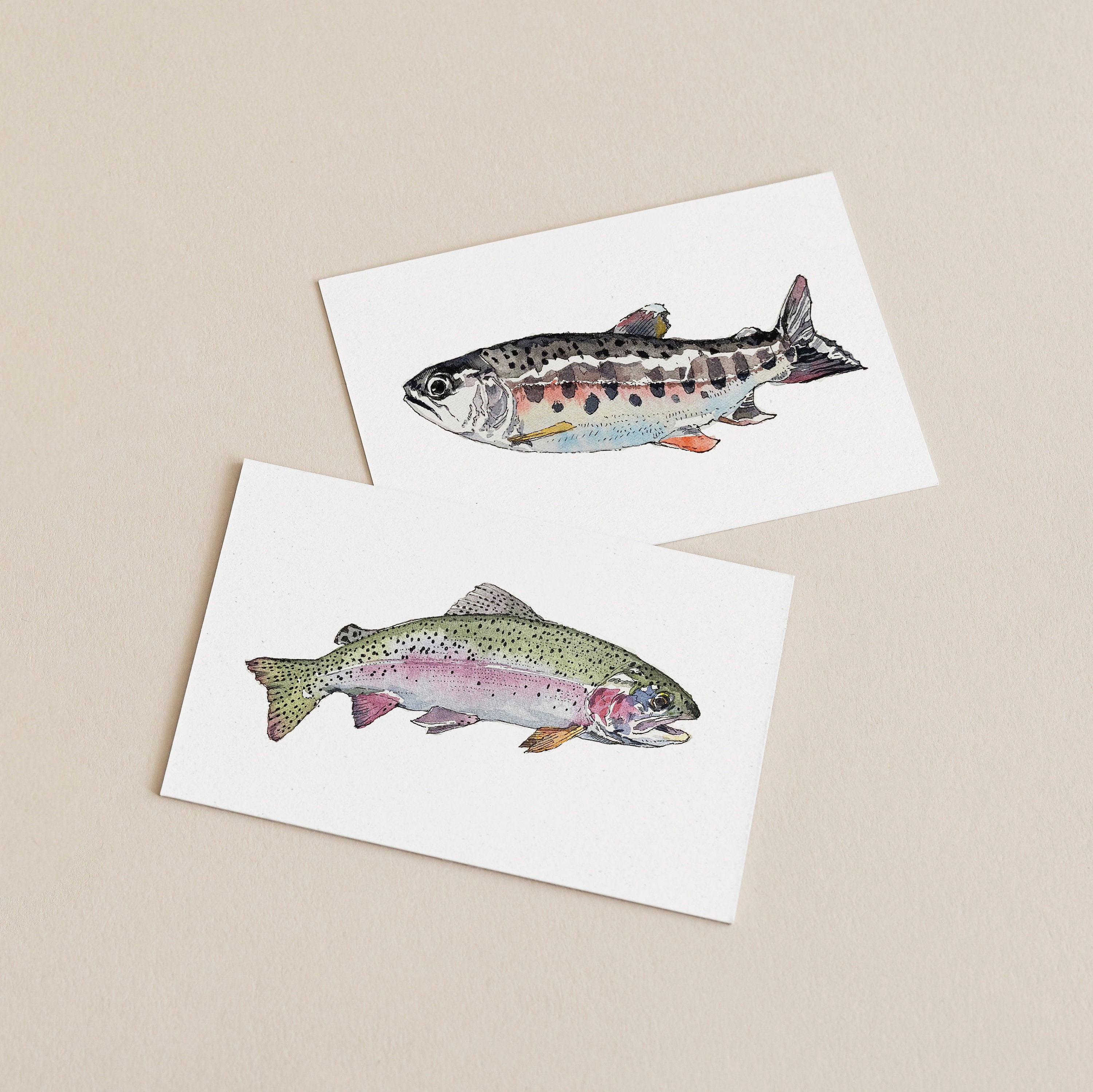PNG Digital Bundles Fish, Downloadable Water Color Illustration, PNG ...