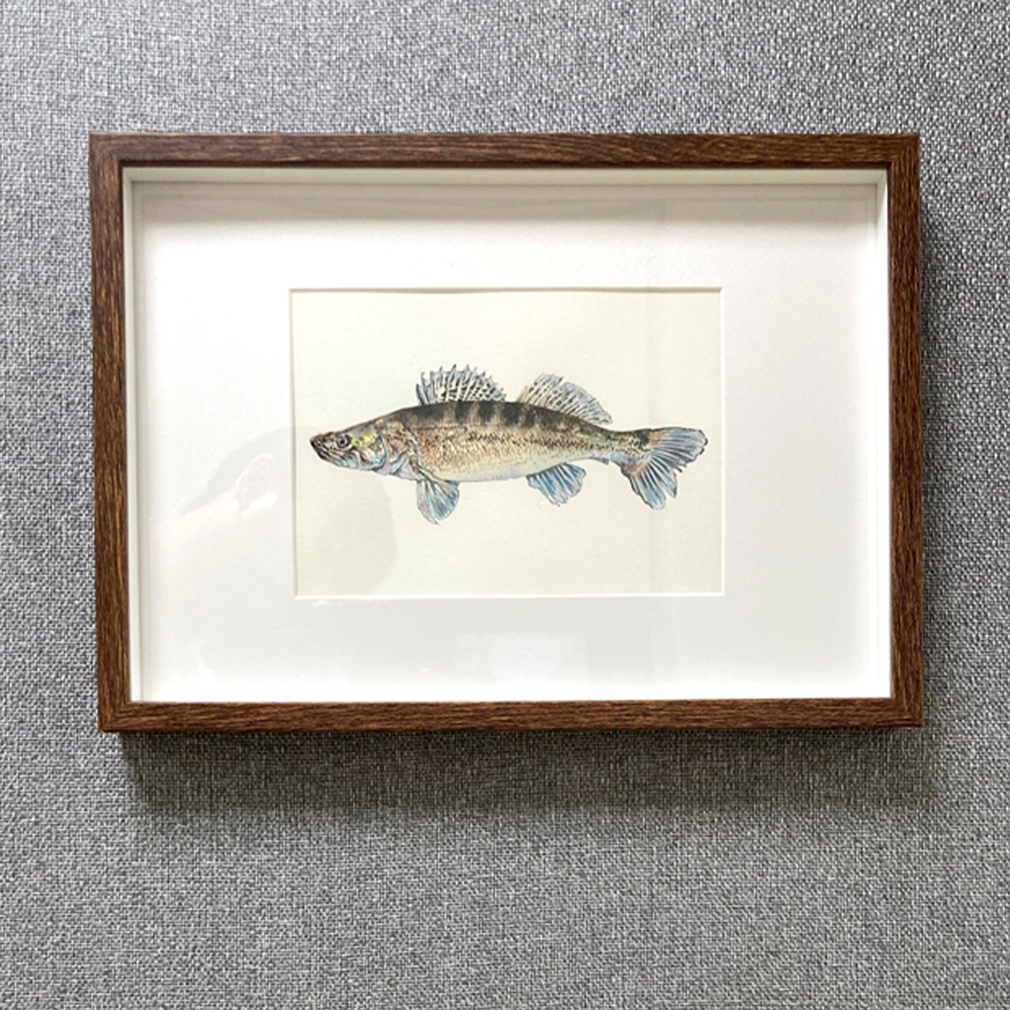 PRINTABLE Fish Watercolor Print, Small Frame Only, Vintage Poster, Fish ...