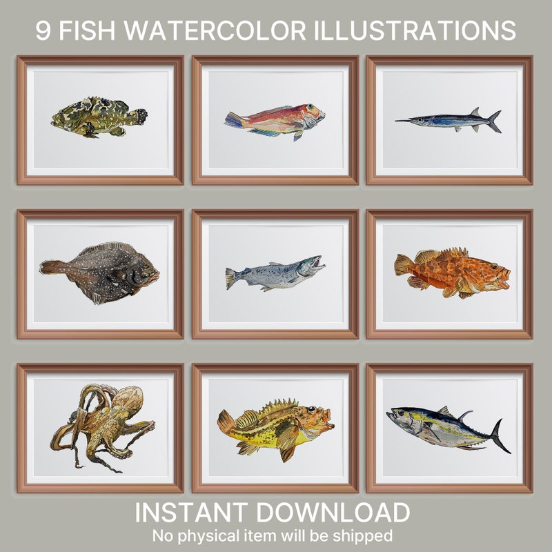 Fish Watercolor - Etsy