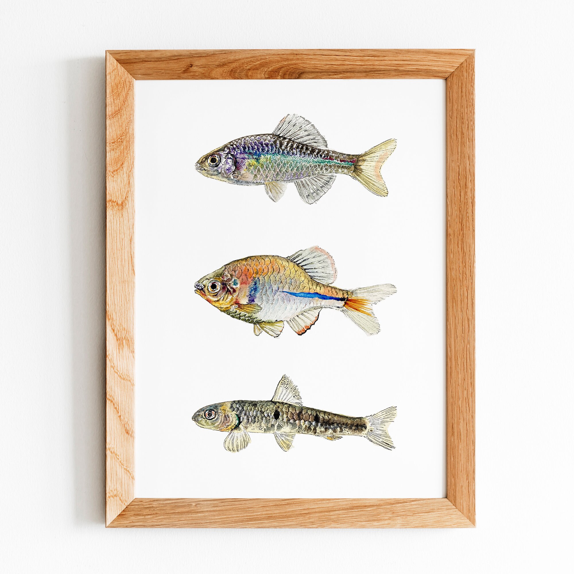 PRINTABLE Fish Watercolor Prints, Fishing, River Fish, Vintage Poster ...
