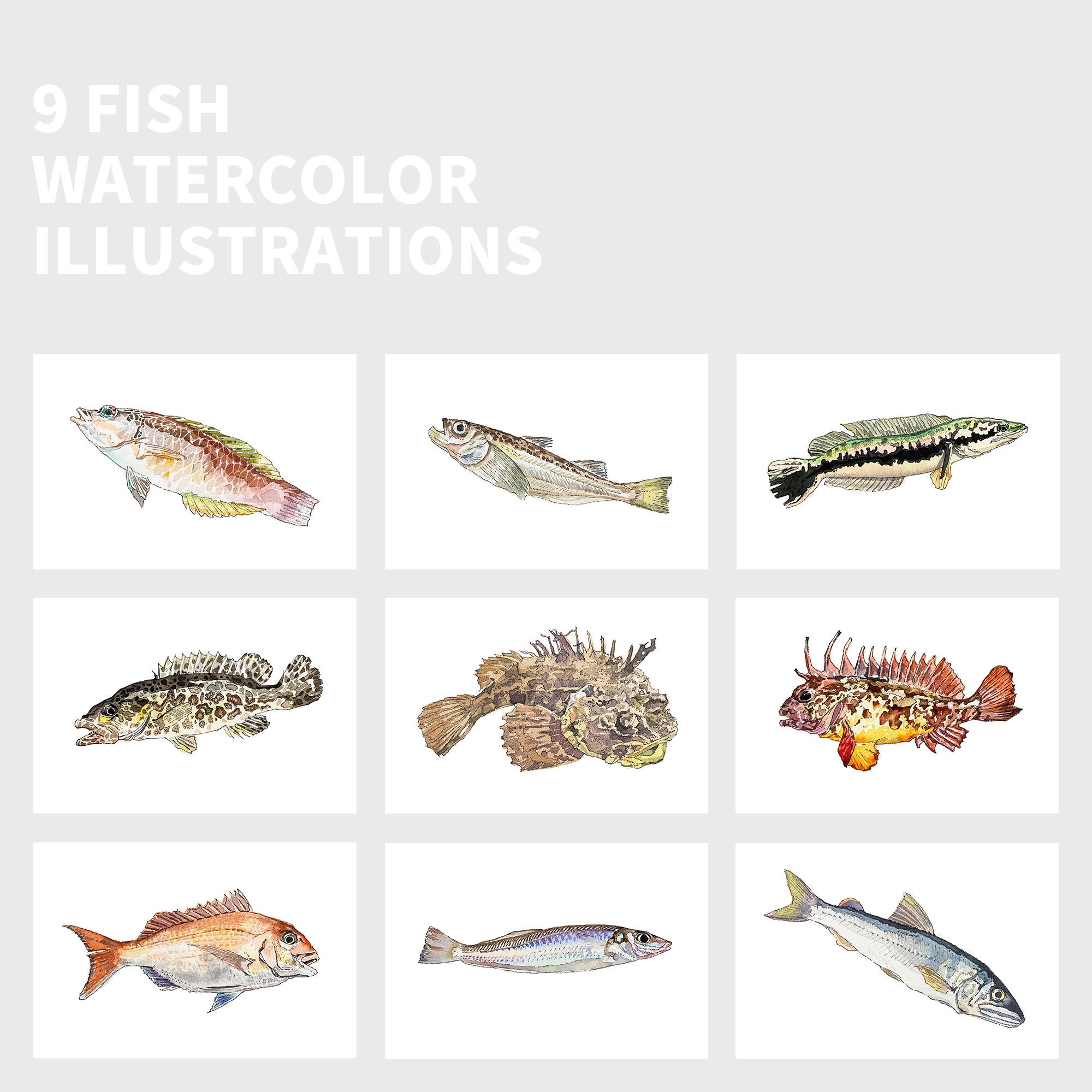 PRINTABLE Fish Watercolor Print Set of 9, Fish Painting, Small Picture ...