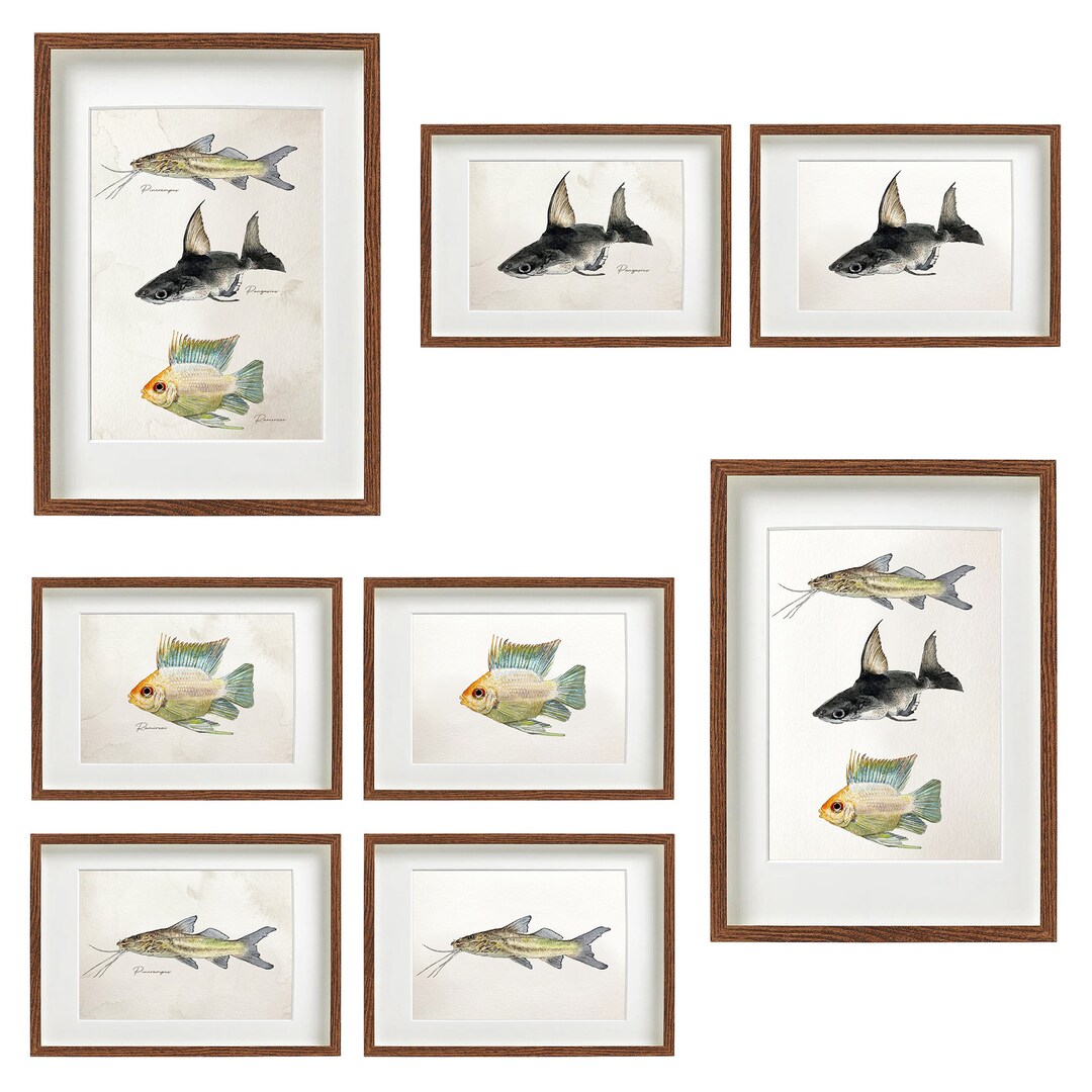 PRINTABLE Fish Watercolor Print, River Fish, Vintage Poster, Fish ...