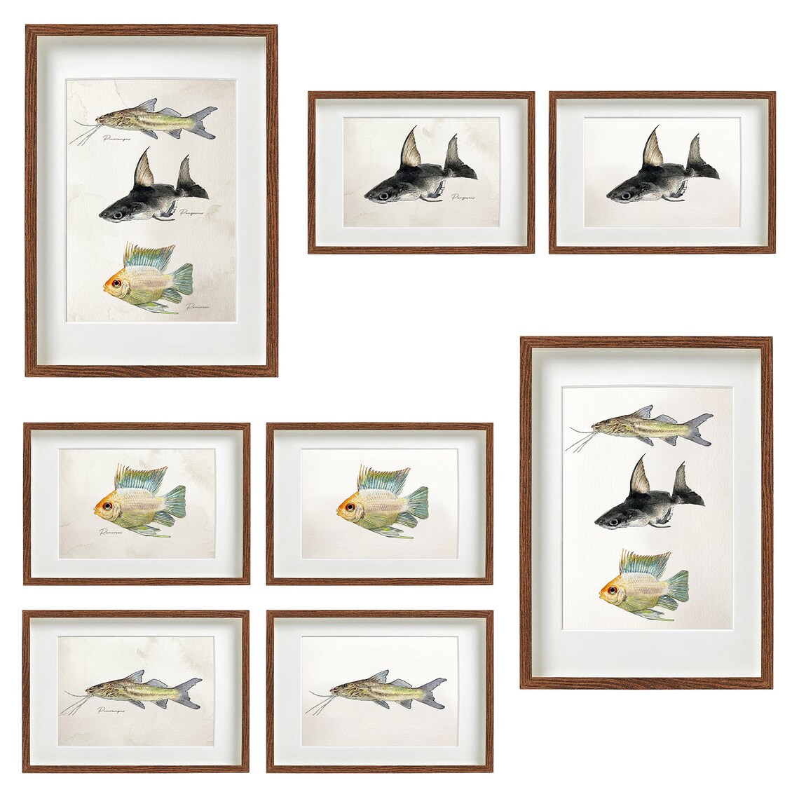 PRINTABLE Fish Watercolor Print, River Fish, Vintage Poster, Fish ...