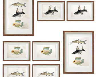 PRINTABLE Fish Watercolor Print, Ocean Fish, Vintage Poster, Fish ...