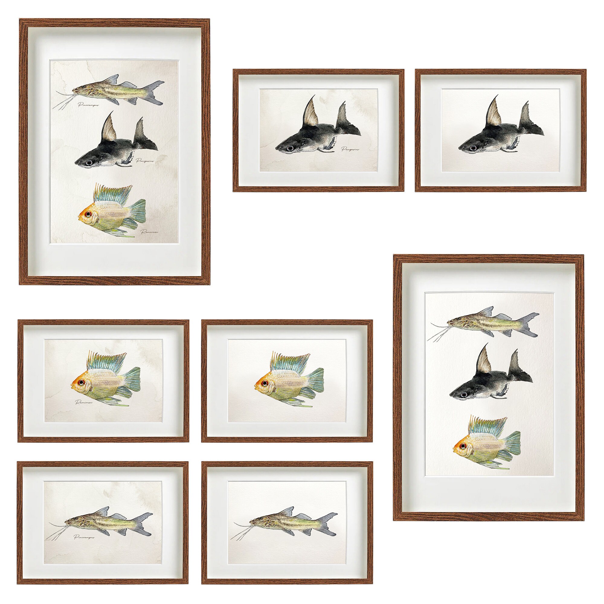 PRINTABLE Fish Watercolor Print, River Fish, Vintage Poster, Fish ...