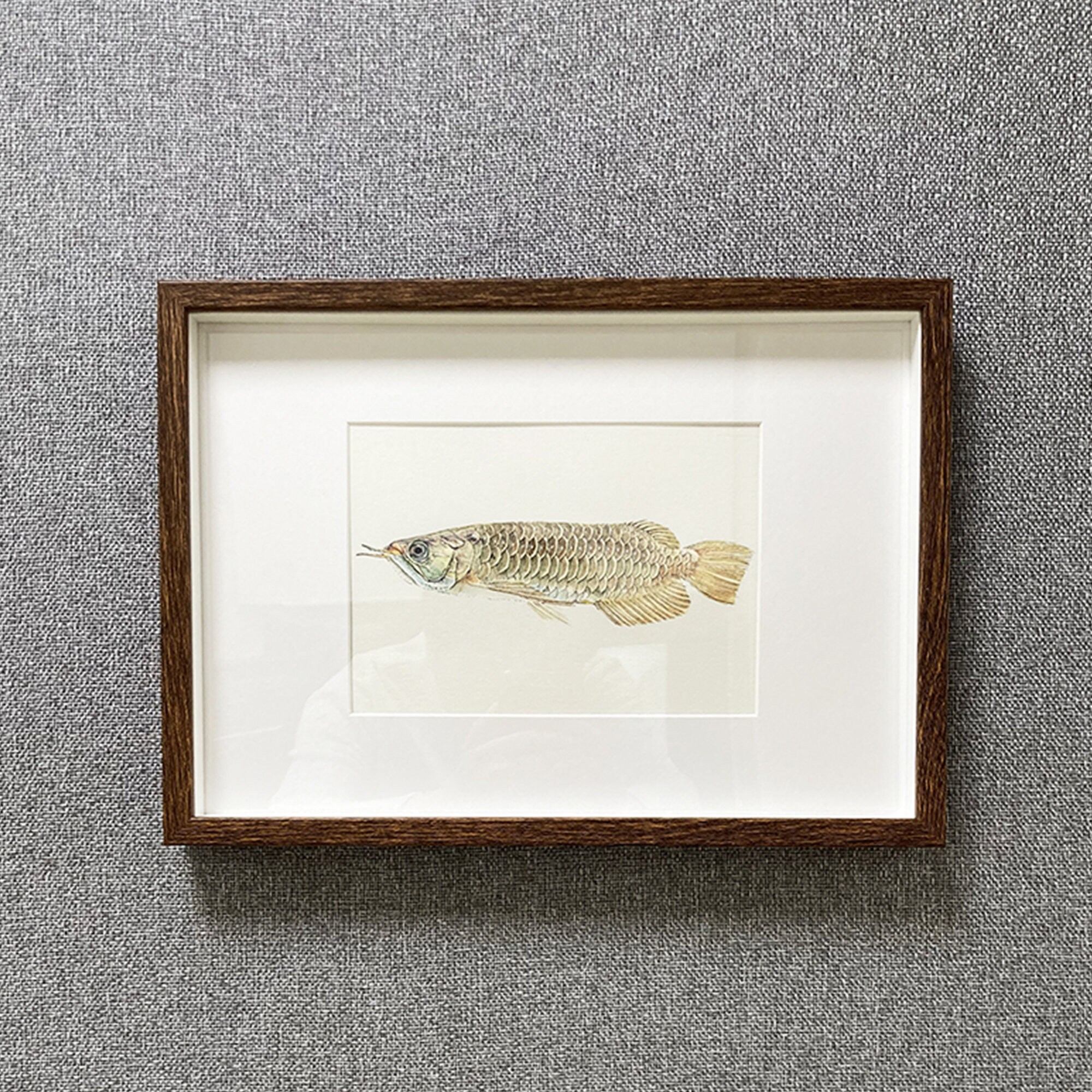 PRINTABLE Fish Watercolor Print, River Fish, Vintage Poster, Fish ...