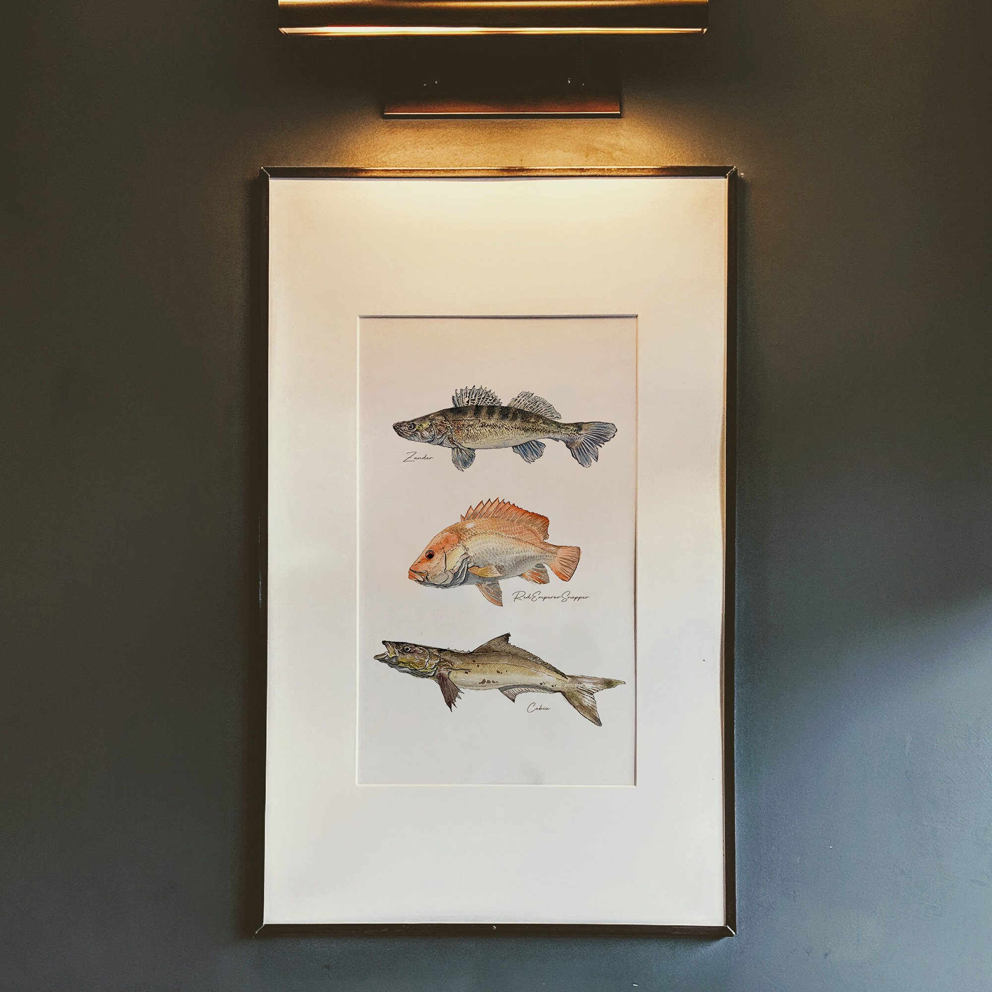 PRINTABLE Fish Watercolor Print, Small Frame Only, Vintage Poster, Fish ...