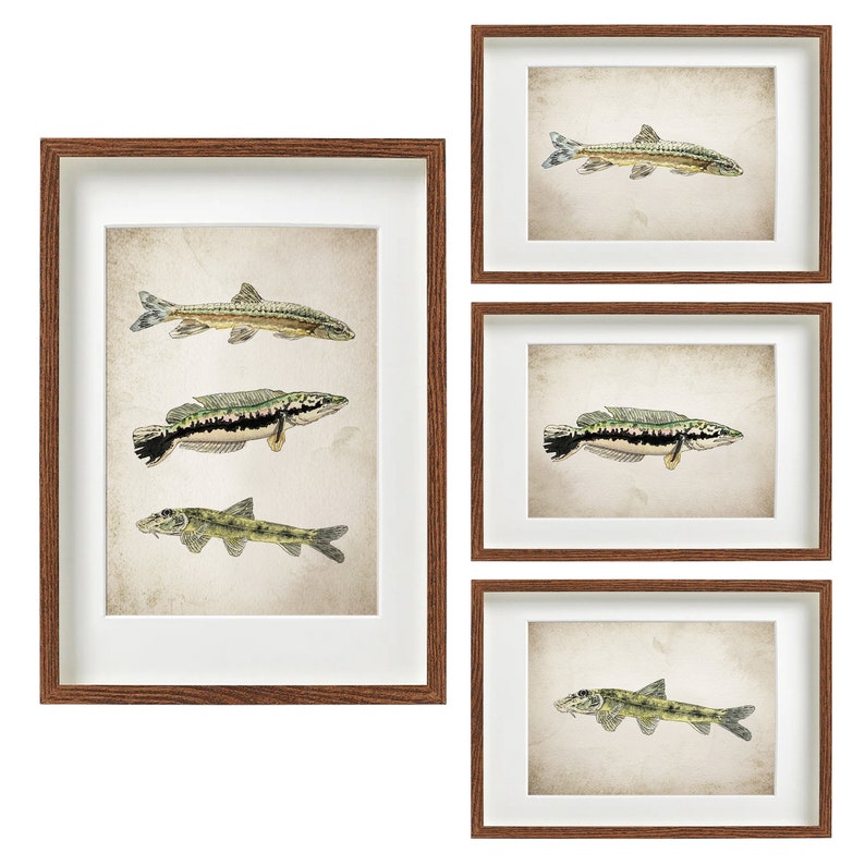 PRINTABLE Fish Watercolor Print, River Fish, Vintage Poster, Fish ...