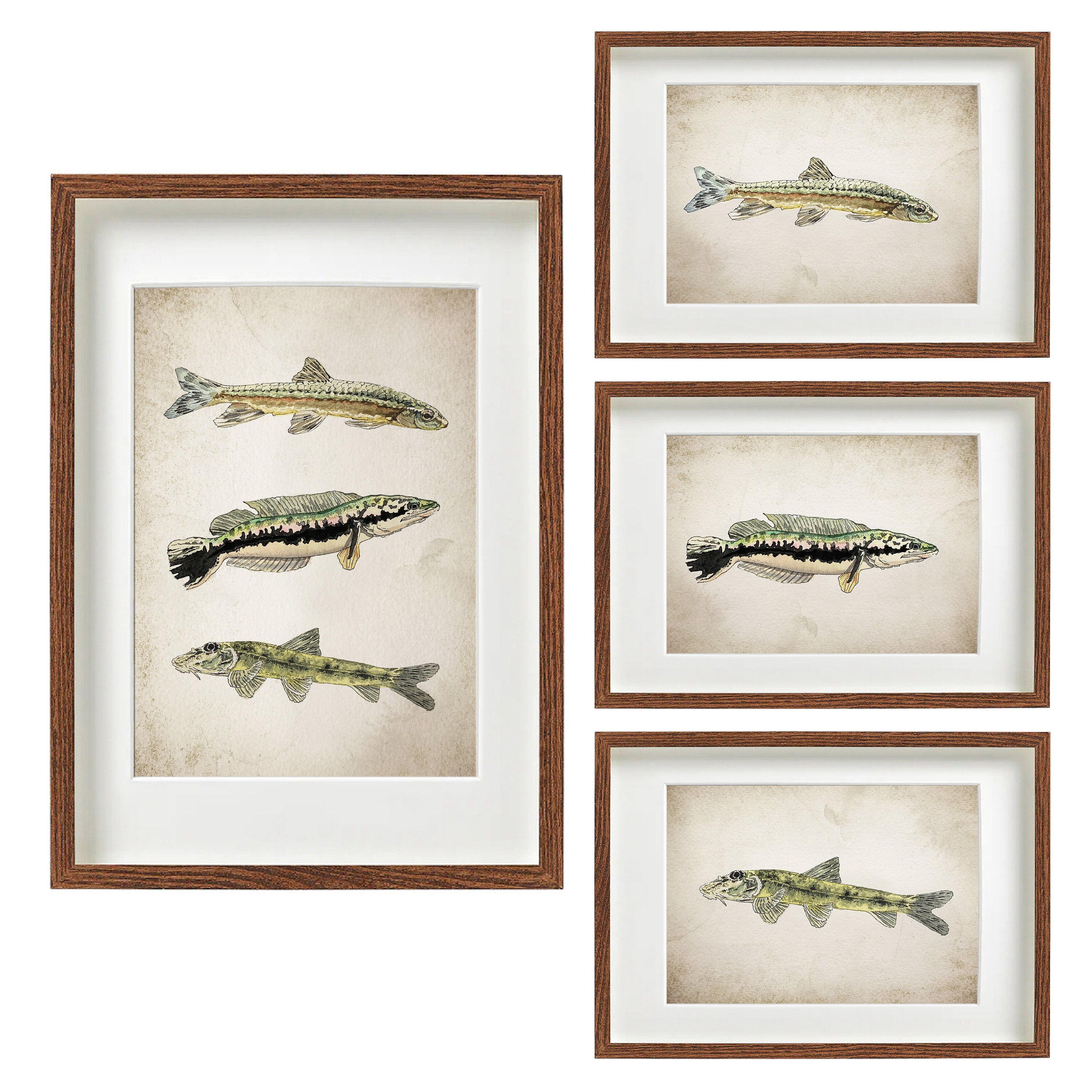 PRINTABLE Fish Watercolor Print, River Fish, Vintage Poster, Fish ...