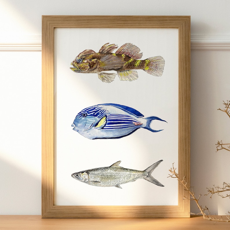 PRINTABLE Fish Watercolor Print, Ocean Fish, Vintage Poster, Fish ...