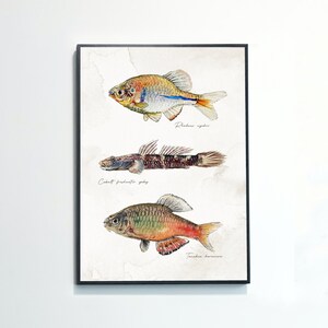 PRINTABLE Fish Watercolor Print, River Fish, Vintage Poster, Fish ...
