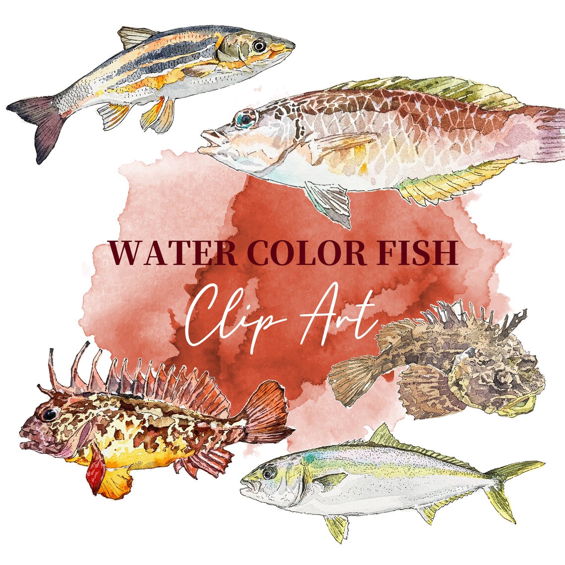 PNG Digital Bundles Fish, Downloadable Water Color Illustration, PNG ...