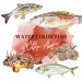 PNG Digital Bundles Fish, Downloadable Water Color Illustration, PNG ...