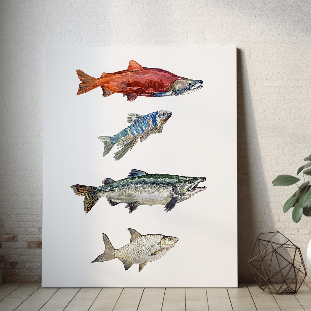 PRINTABLE Fish Watercolor Print, River Fish, Vintage Fish Poster, Fish ...