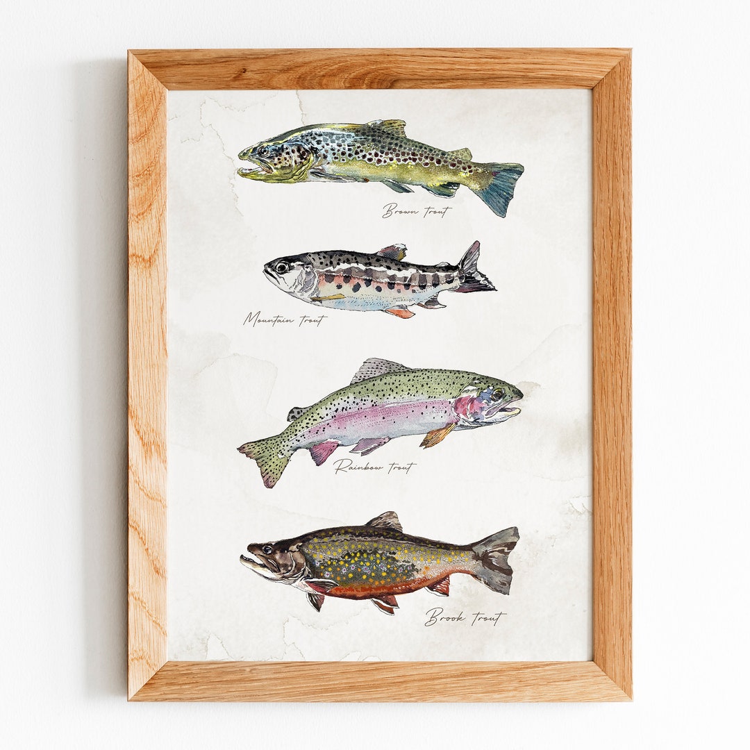 PRINTABLE Fish Watercolor Print, Variety of Trout, Vintage Poster, Fish ...