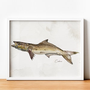 PRINTABLE Fish Watercolor Print, Small Frame Only, Vintage Poster, Fish ...