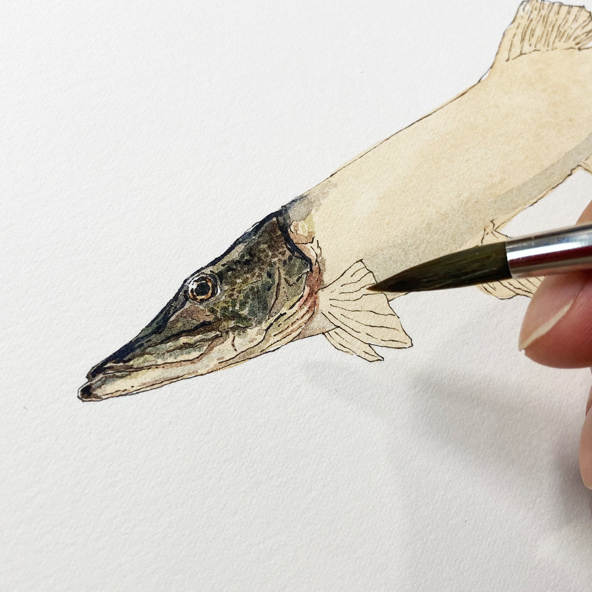 PRINTABLE Fish Watercolor Print Handwork Painting Poster - Etsy