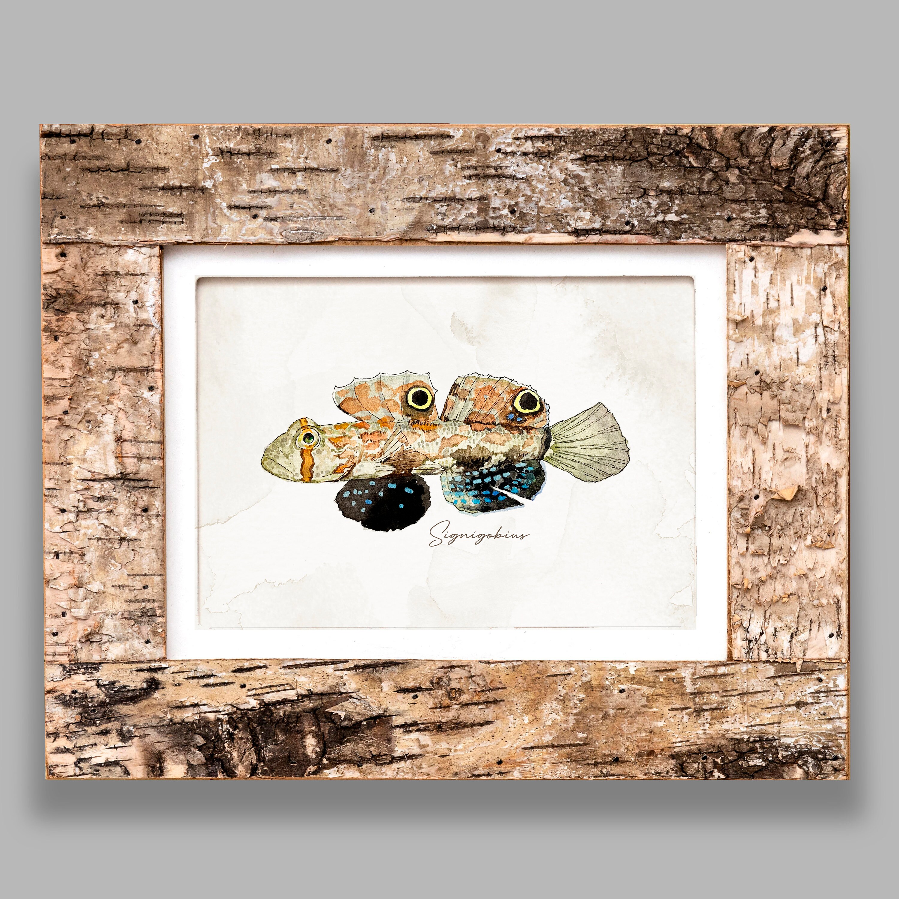 PRINTABLE Fish Watercolor Print, Small Frame Only, Vintage Poster, Fish ...