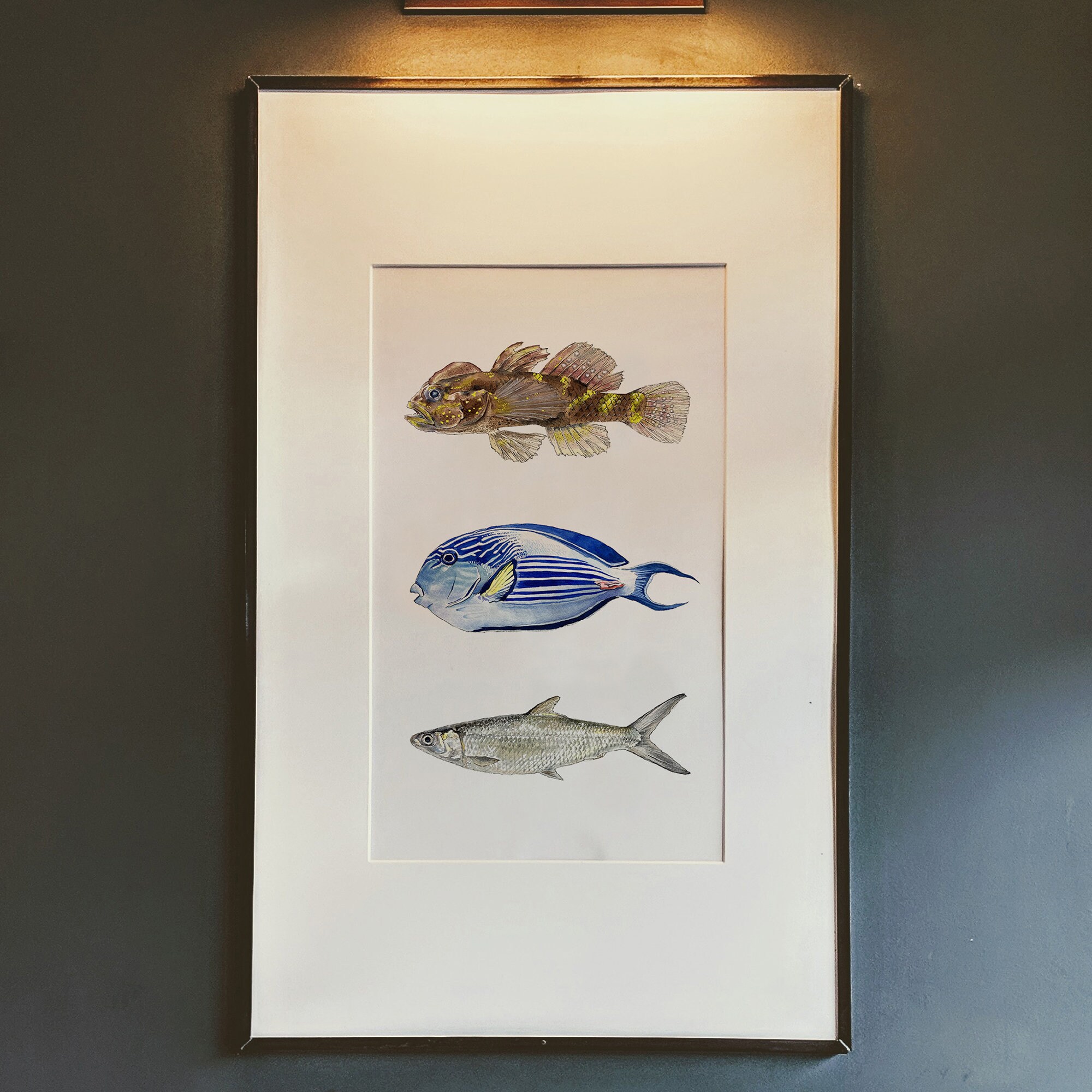 PRINTABLE Fish Watercolor Print, Ocean Fish, Vintage Poster, Fish ...