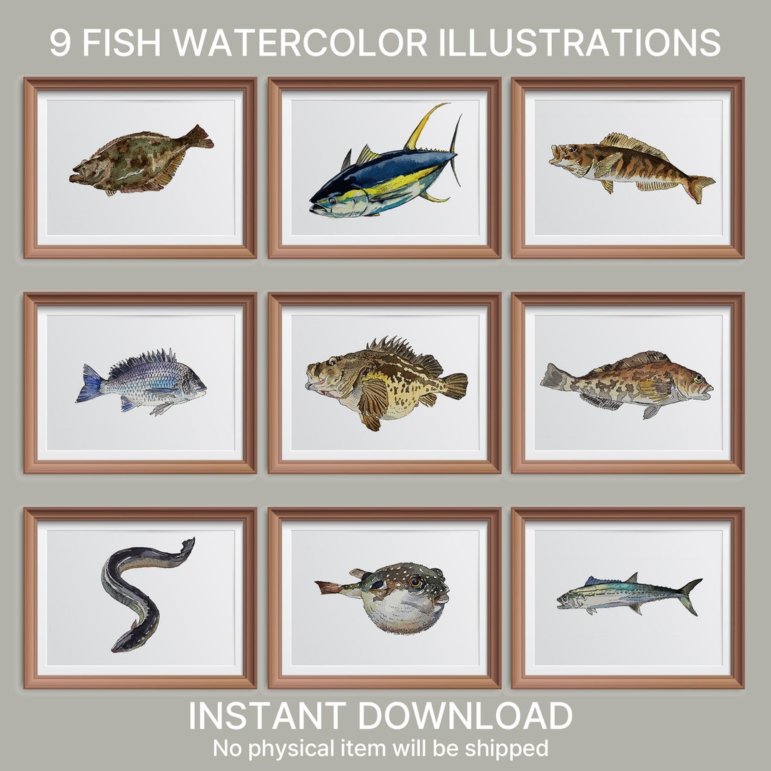 PRINTABLE Fish Watercolor Print Set of 9, Fish Painting, Small Picture ...