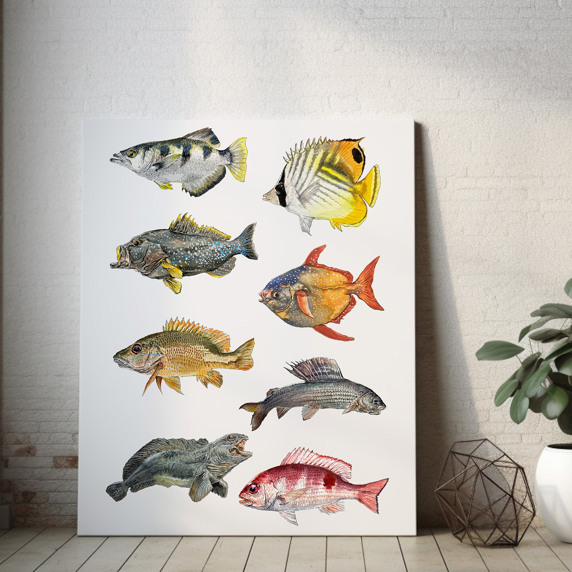 PNG Digital Bundles Fish, Downloadable Water Color Illustration, PNG ...