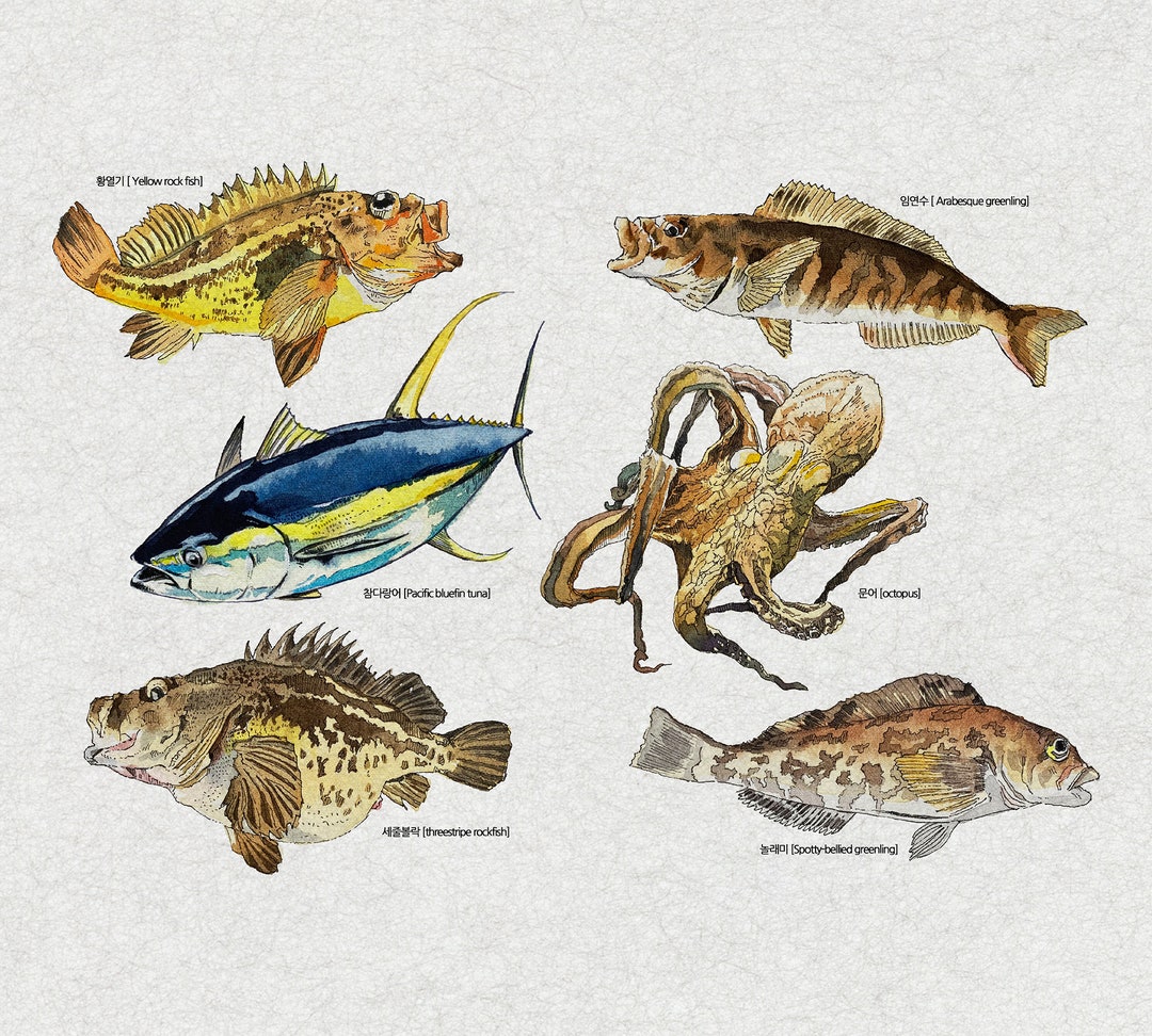 PRINTABLE Fish Watercolor Print, Fish Poster, Fish Painting, Fish ...