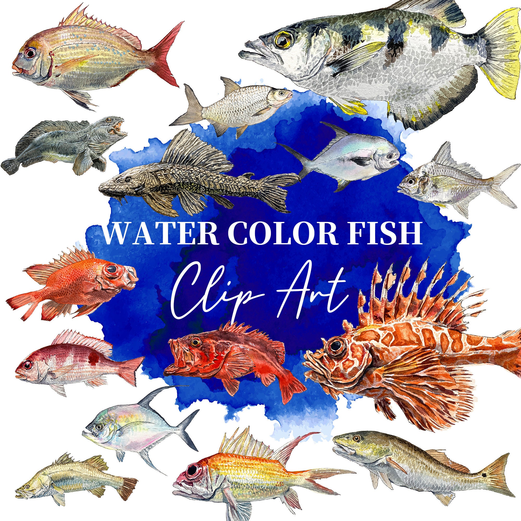 PNG Digital Bundles Fish, Downloadable Water Color Illustration, PNG ...