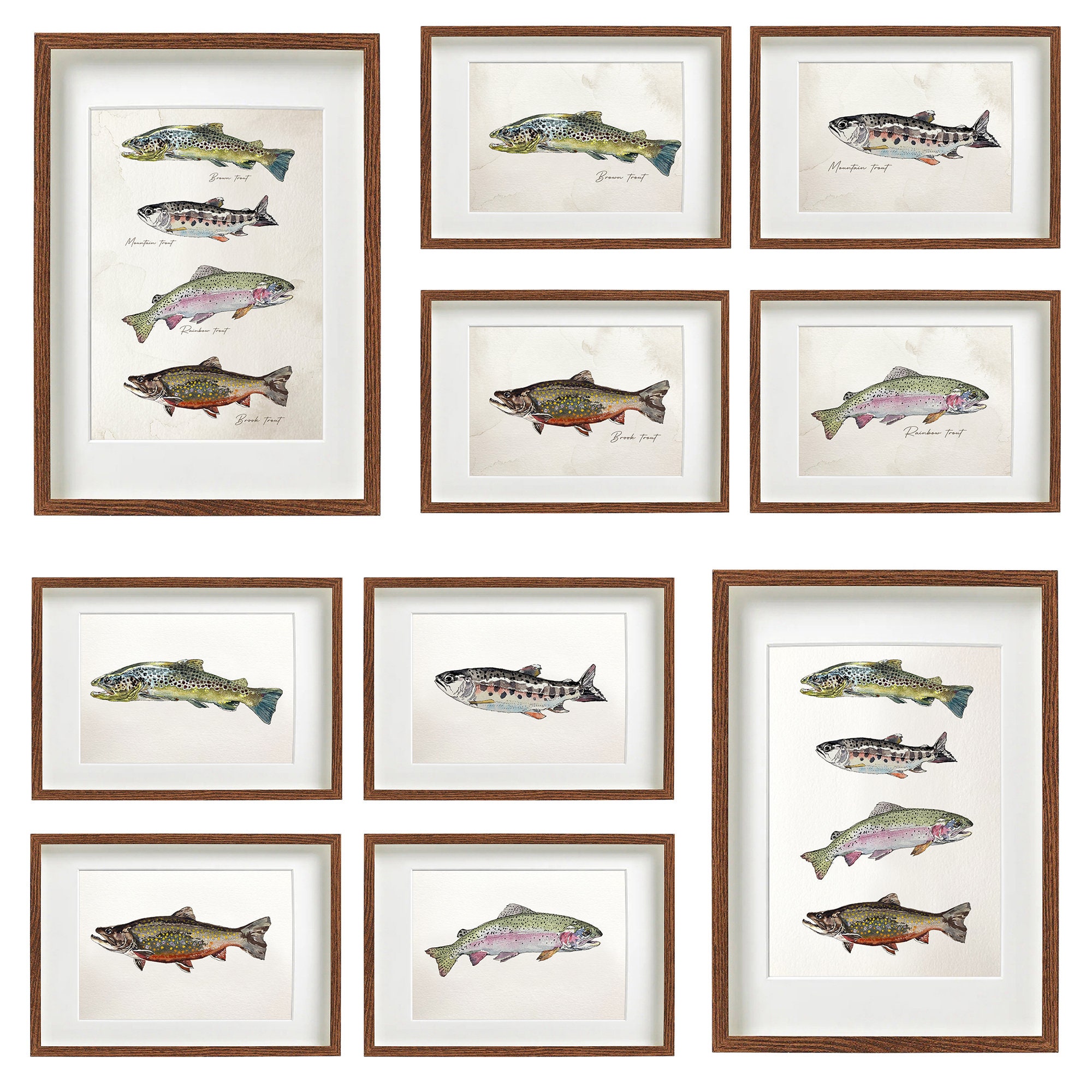 PRINTABLE Fish Watercolor Print Variety of Trout Vintage - Etsy