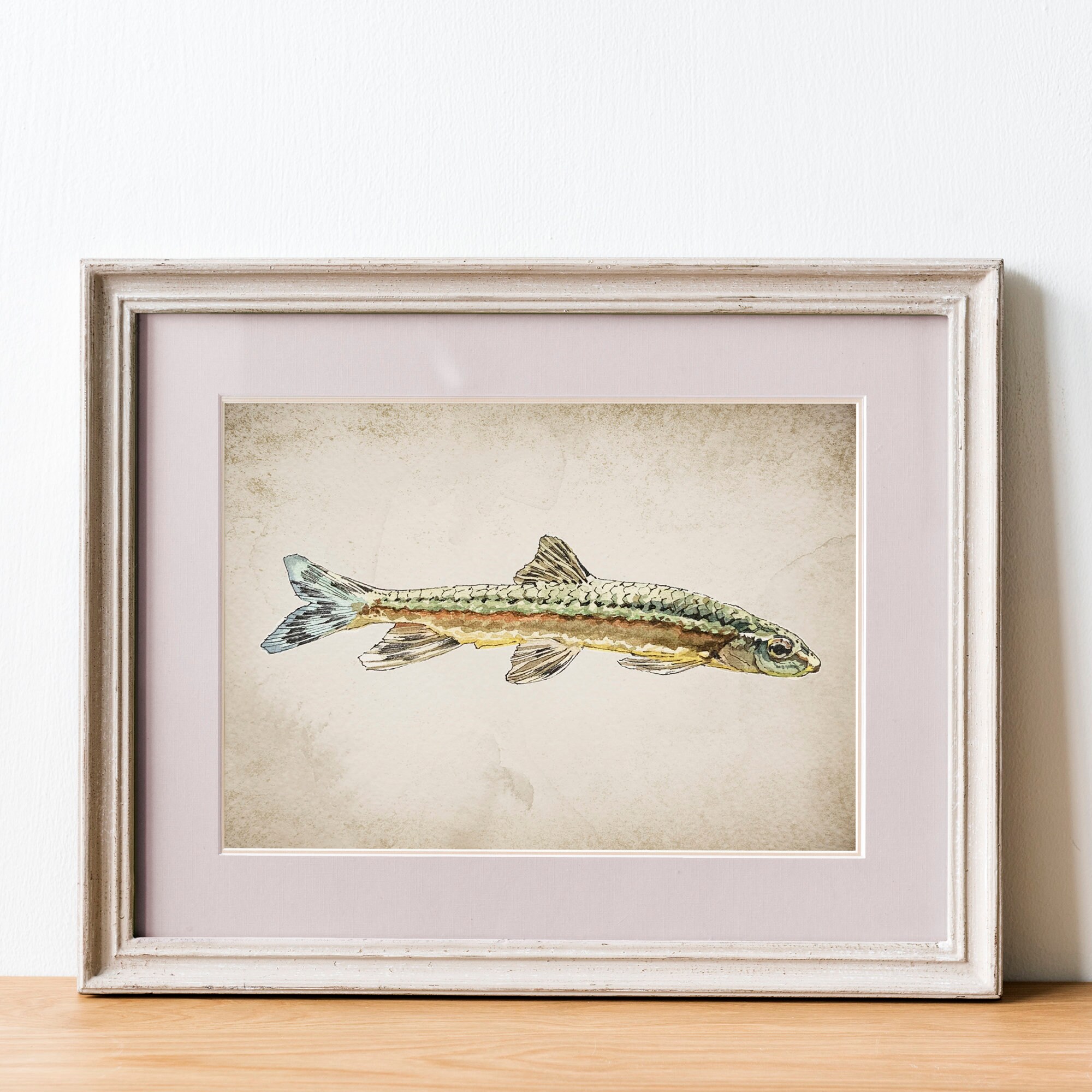 PRINTABLE Fish Watercolor Print, River Fish, Vintage Poster, Fish ...