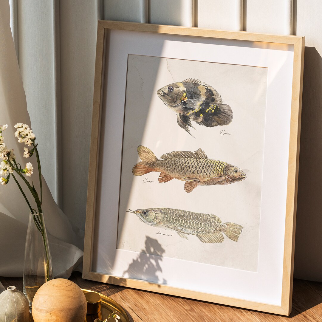 PRINTABLE Fish Watercolor Print, River Fish, Vintage Poster, Fish ...