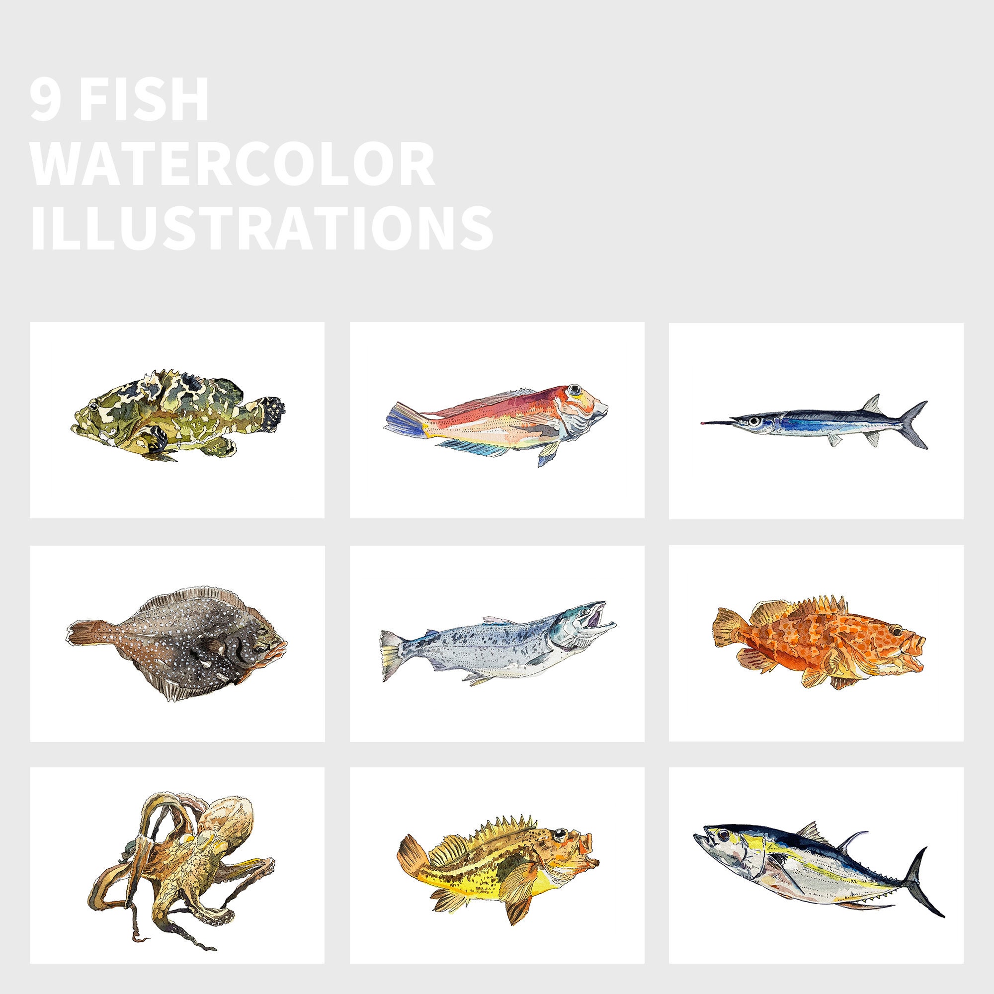 PRINTABLE Fish Watercolor Print Set of 9, Fish Painting, Small Picture ...