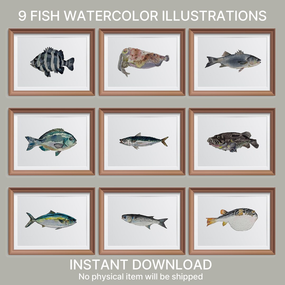 PRINTABLE Fish Watercolor Print Set of 9, Fish Painting, Small Picture ...