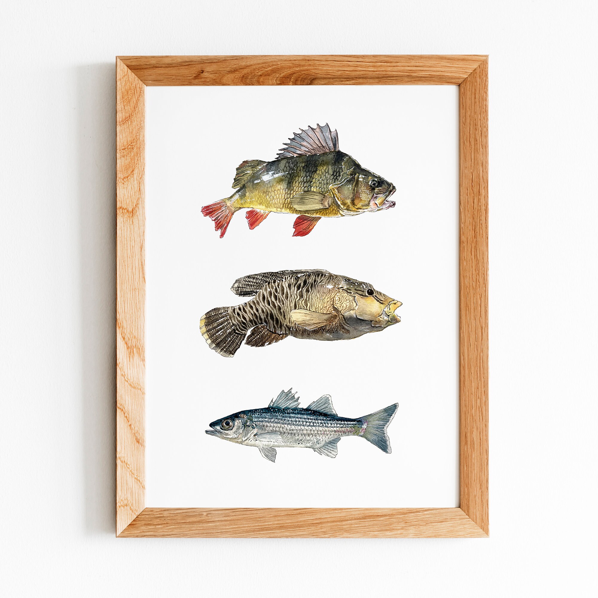 PRINTABLE Fish Watercolor Print, Ocean Fish, Vintage Poster, Fish ...
