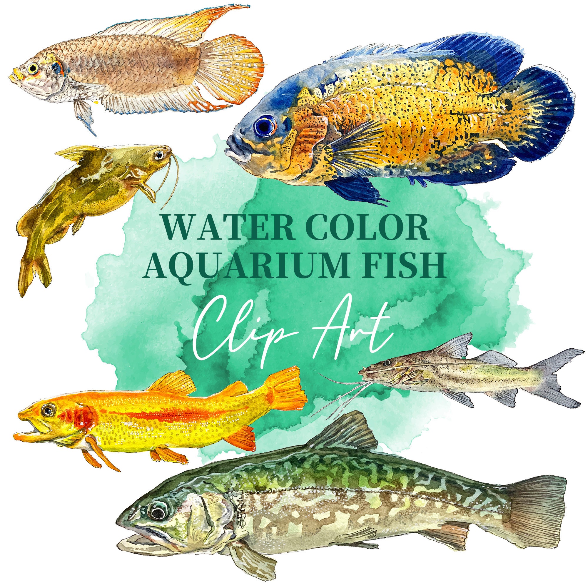 PNG Digital Bundles Aquarium Fish, Downloadable Water Color ...