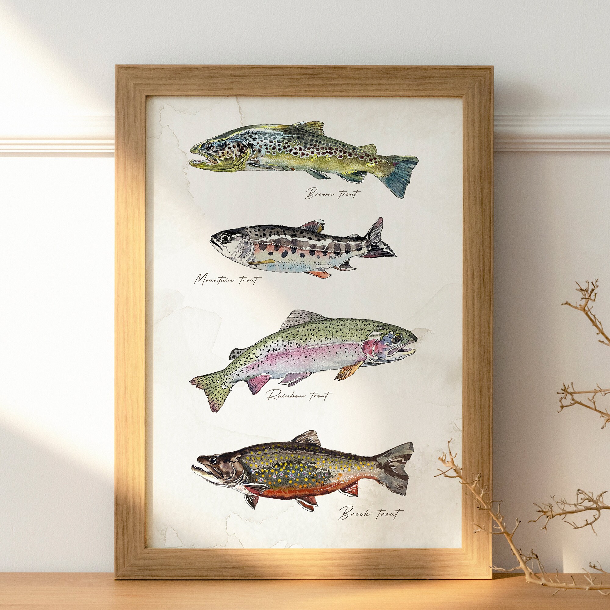 PRINTABLE Fish Watercolor Print Variety of Trout Vintage - Etsy