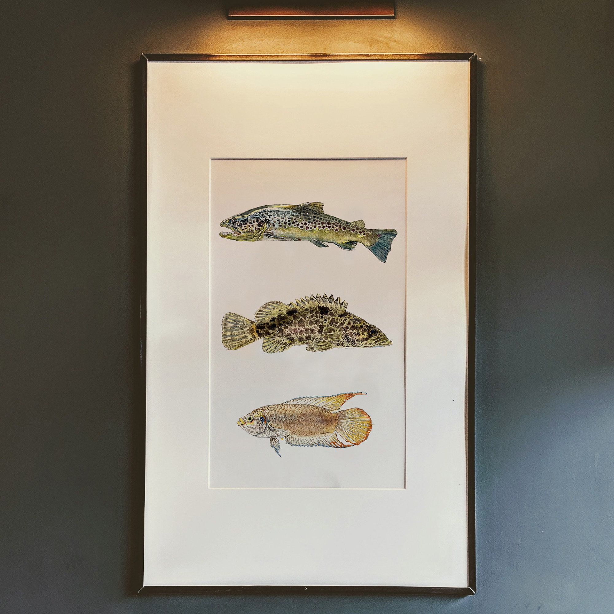 PRINTABLE Fish Watercolor Print, River Fish, Vintage Poster, Fish ...